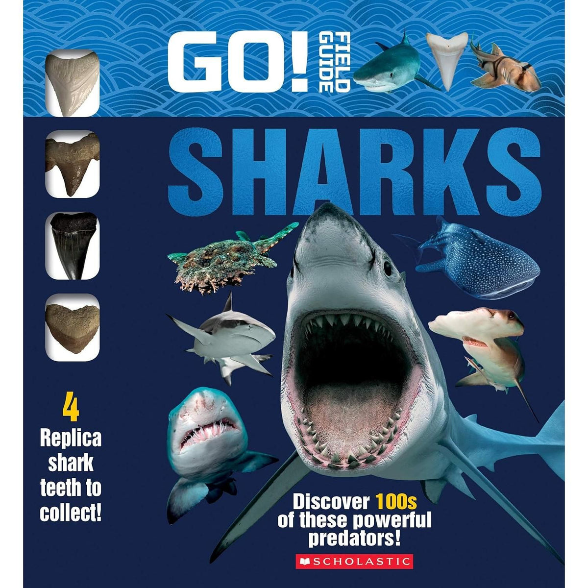 Go! Field Guide: Sharks – The Homeschool Hive