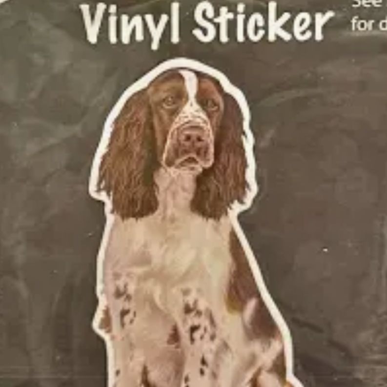 Vinyl Sticker: Springer Spaniel – The Homeschool Hive